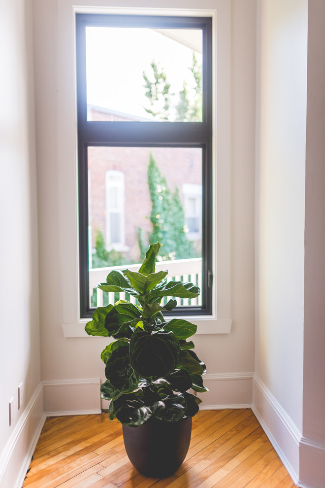 Stéphanie Fortier Design - Salle à manger - Rétro - Salle à Manger ...