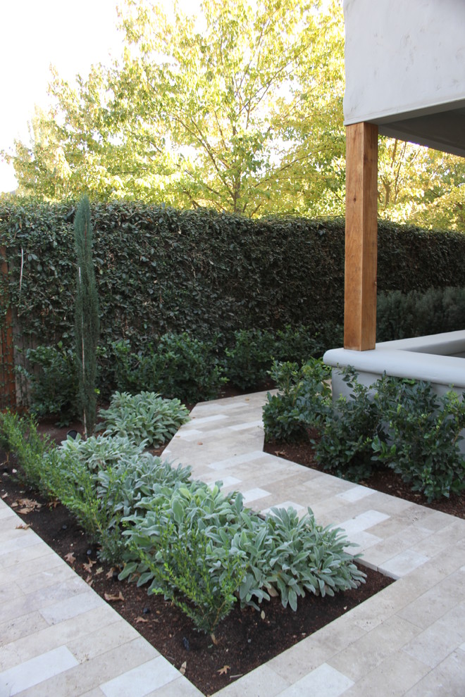 Contemporary Family Garden at Swan Park - Contemporary - Landscape ...
