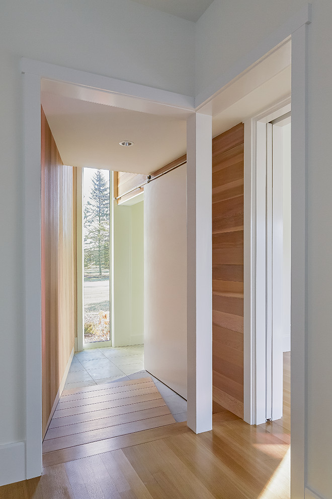 Foyer Passages - Modern - Entry - Chicago - by Mark Eric Benner ...