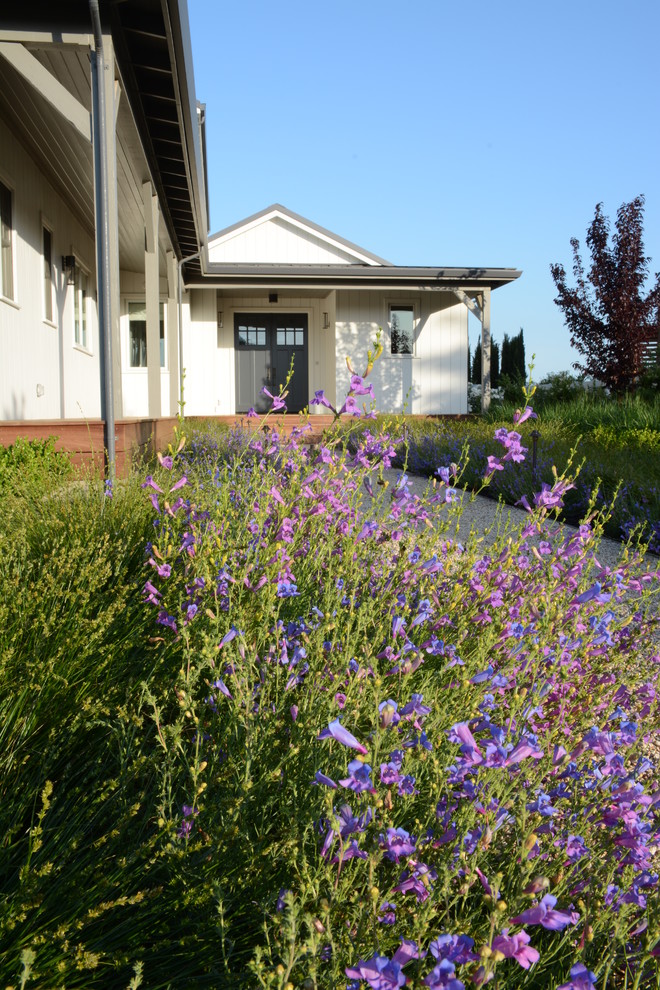 In the Vineyard - Farmhouse - Entry - San Francisco - by Shades Of ...