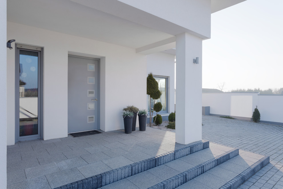 MCM (Mid-Century Modern) doors and glass - Contemporary - Entry ...