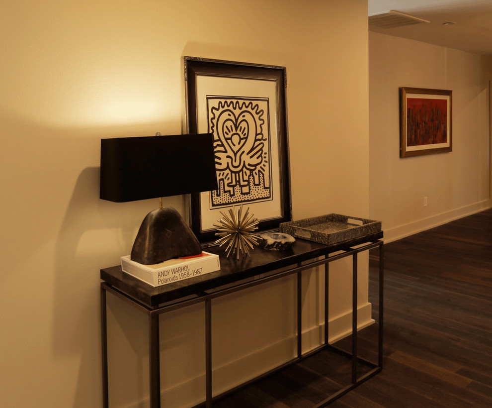 Modern Entry - Modern - Entry - Houston - by Courtney H. Design LLC | Houzz