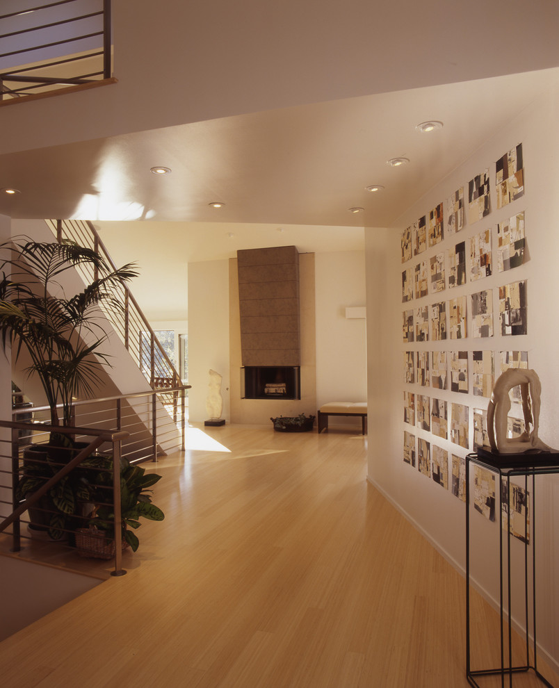 Modern Home - Modern - Entry - San Francisco - by Pamela Pennington ...