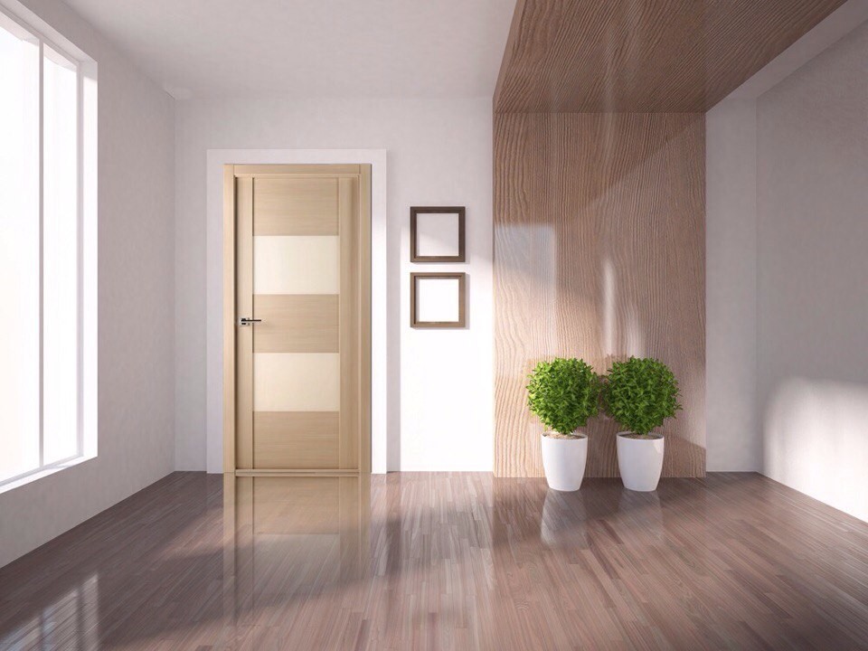 Modern solid wood core doors retail company - Modern - Entry - Tampa ...