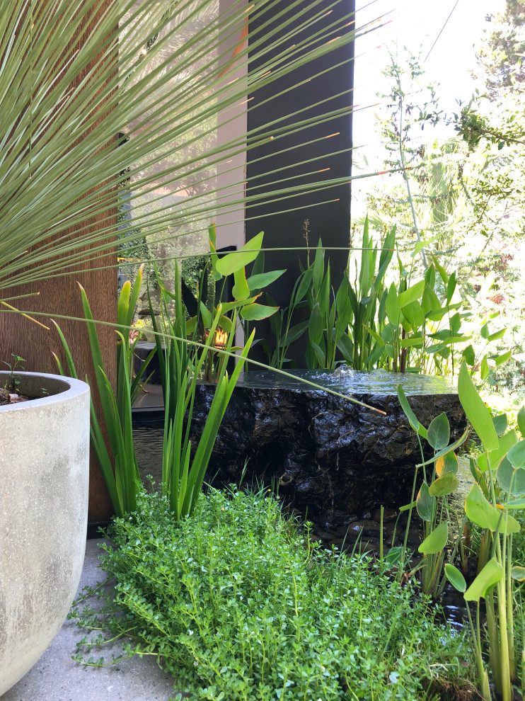 Stone Water Feature - Modern - Entry - Los Angeles - by Design Studio ...