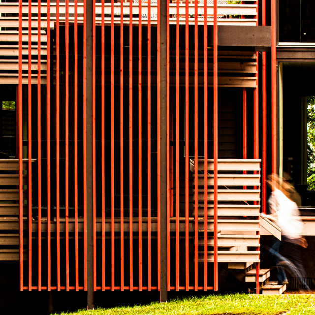 Wedge House - Modern - Exterior - by Donald Lococo Architects | Houzz AU