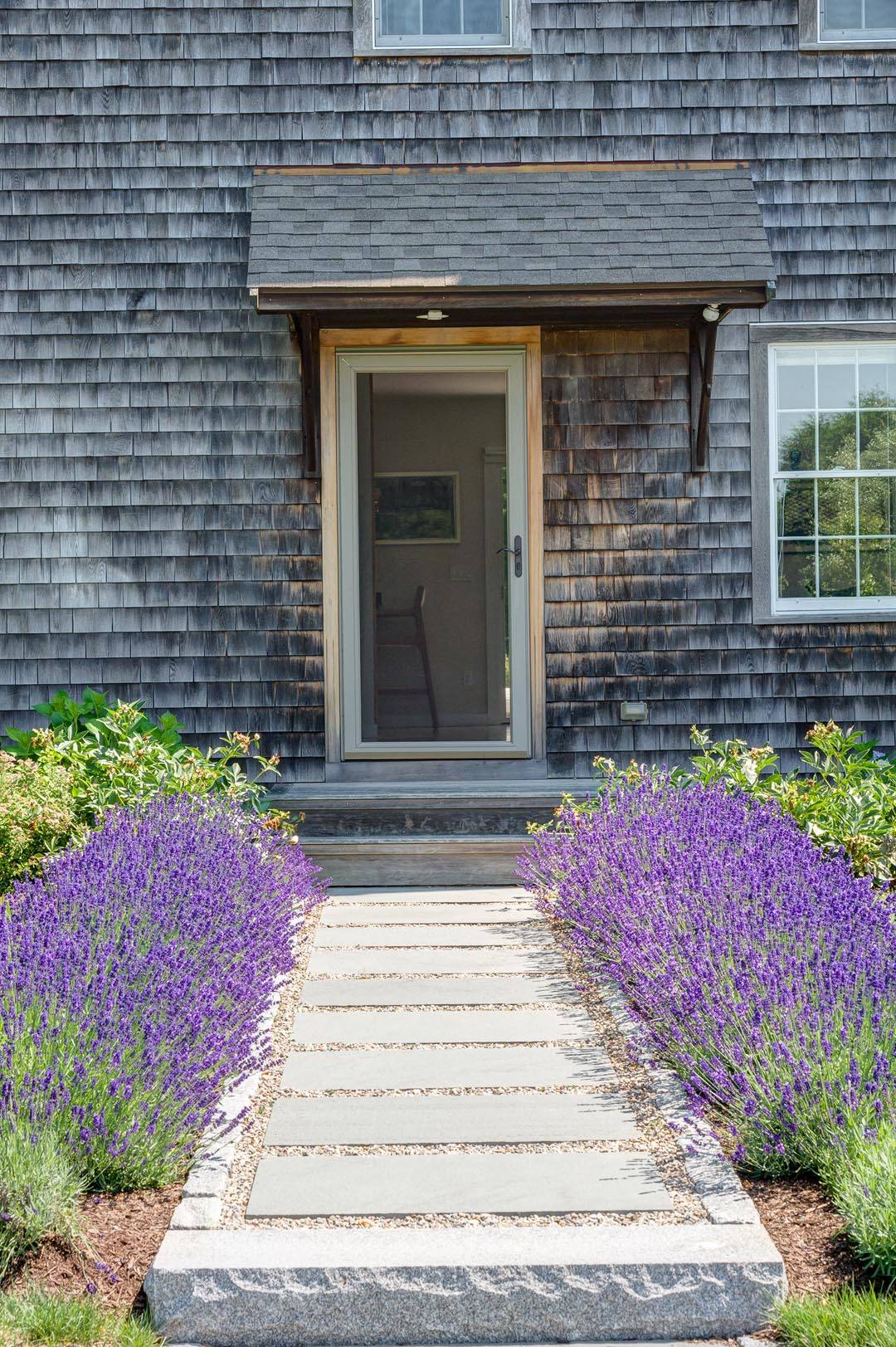 Lavender Landscaping Ideas