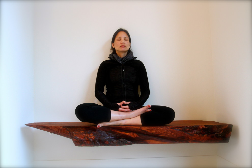 Zen Custom Bench in Foyer - Modern - Entry - San Francisco - by James ...