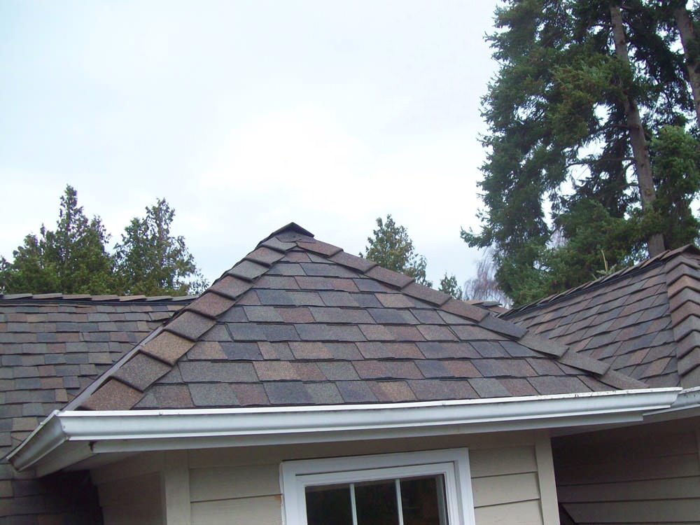 Composition Shingle Roof