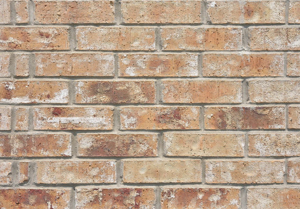 Aspen Chase Brick - Craftsman - Exterior - Nashville - by The Jones ...