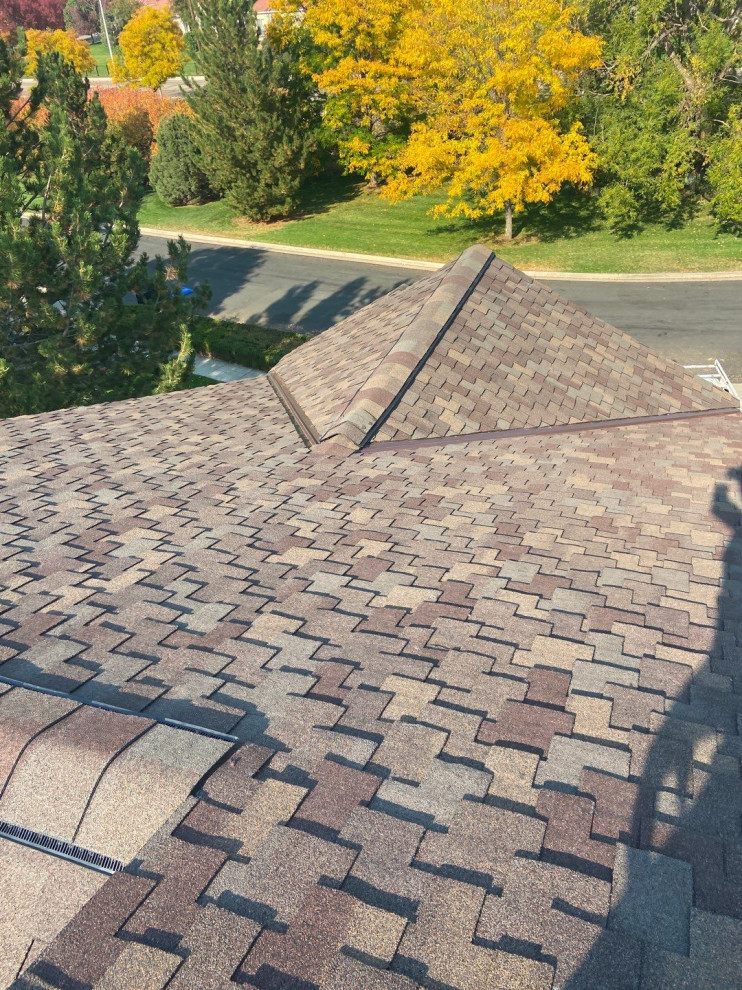 Autumn Blend, Breakwater Dr., Longmont - Traditional - Exterior ...