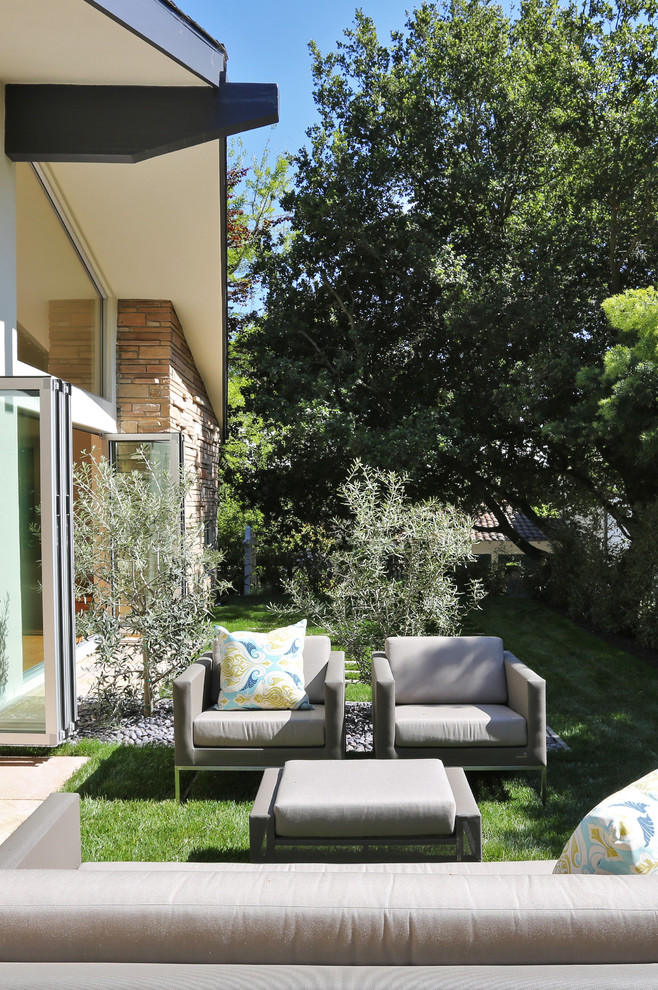 Berkeley Modern Home Renovation - Modern - Exterior - San Francisco ...