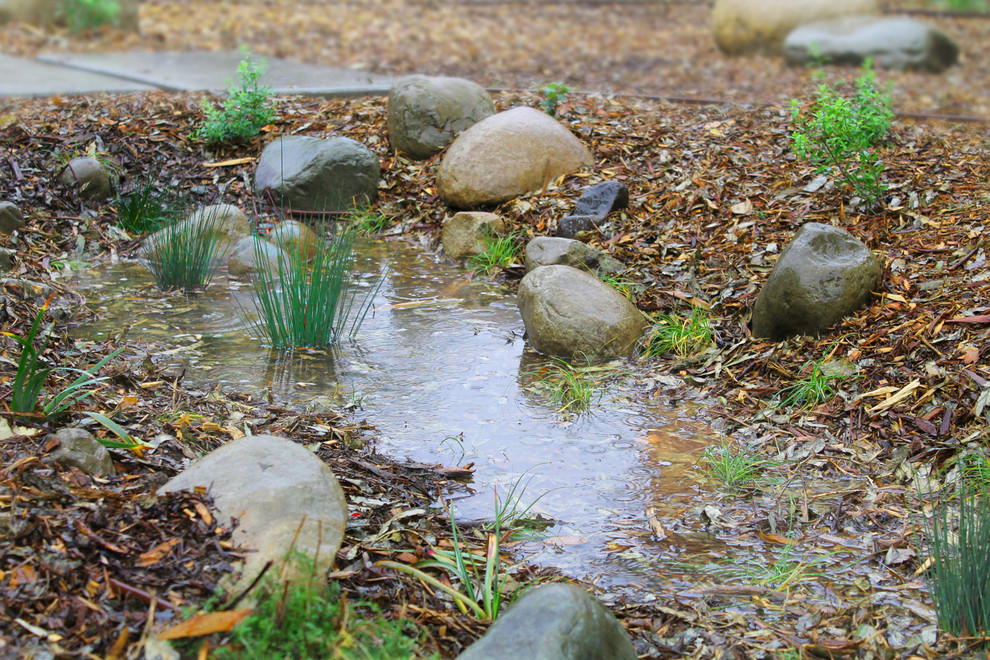 Bioswales - Traditional - Landscape - Los Angeles - by Stout Design ...