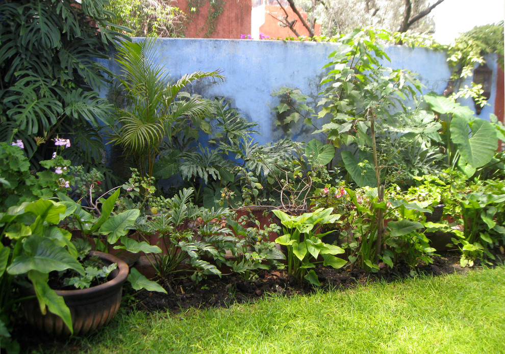 Blue Garden Wall - Eclectic - Landscape - Other - by Larcade Larcade ...
