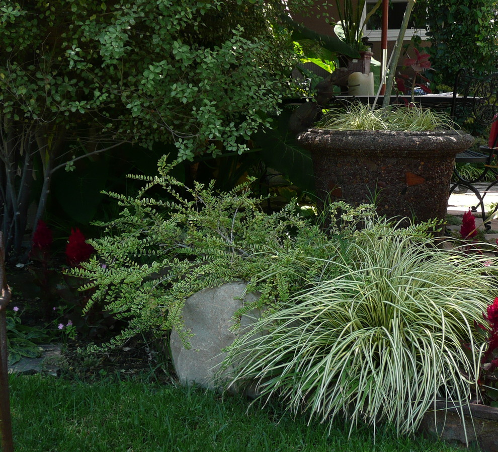 brenda Cook-Cruz - Mediterranean - Exterior - Los Angeles - by Brenda ...