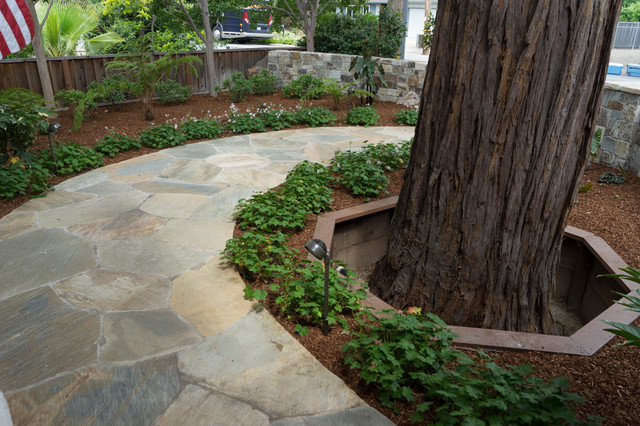 Carmel Gold Quartzite Flagstone Walkway - Modern - Exterior - San ...
