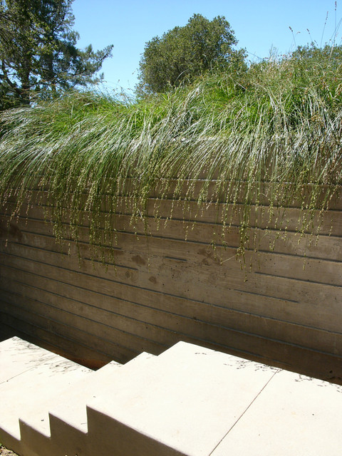 cast concrete garage - Modern - Exterior - San Francisco - by Yama ...