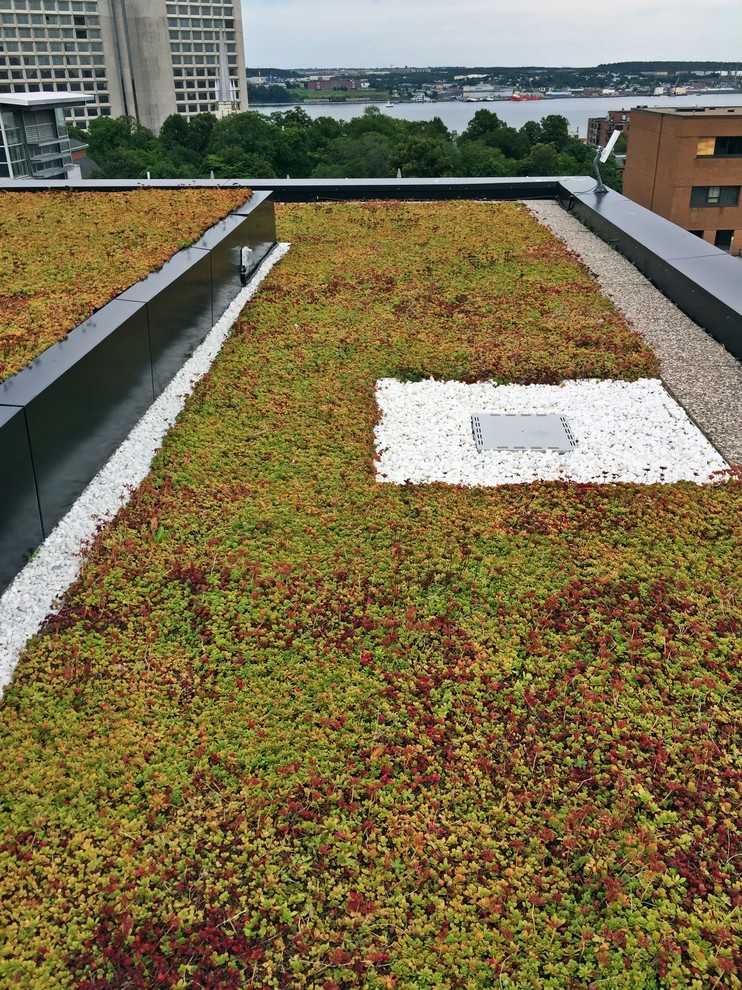 Central Library Green Roof - Halifax, NS - Modern - Landscape - Other ...