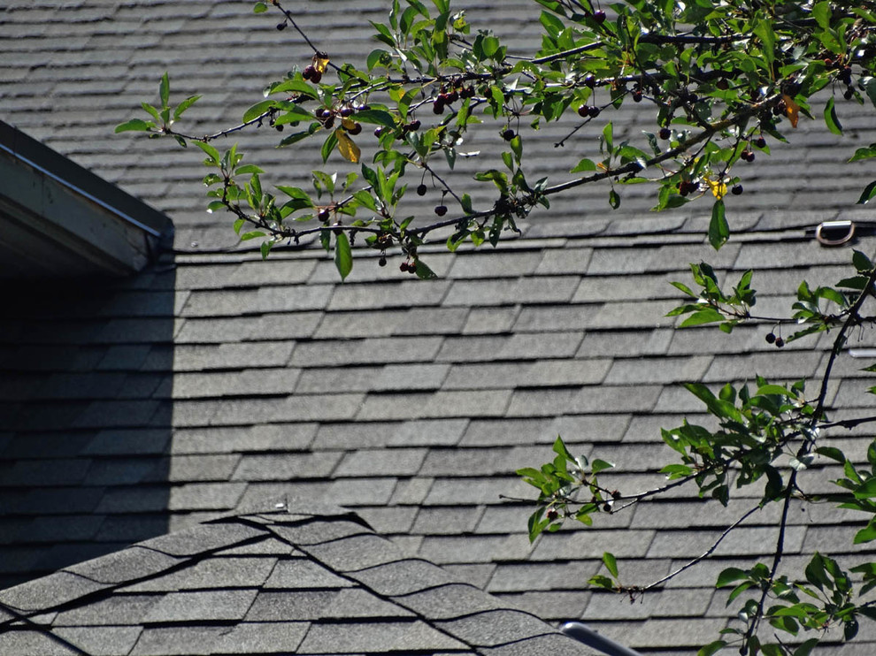 CertainTEED Landmark Pro Weathered Wood - Exterior - Seattle - by Jorve ...