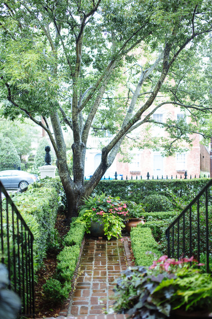 Charleston Veranda - Classique - Façade - Charleston - par Elizabeth ...