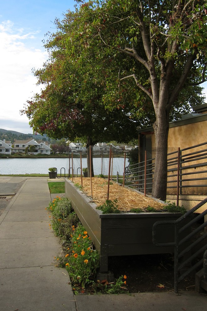 Chef's garden at Piatti Restaurant - Farmhouse - Exterior - San ...