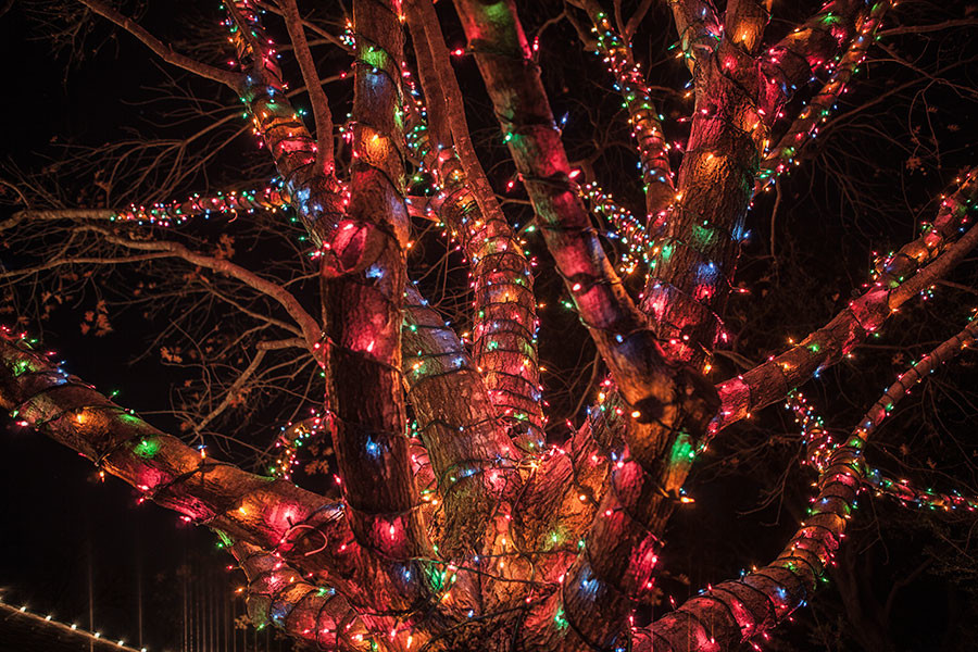 Christmas Lighting Design and Installation - Traditional - Exterior ...