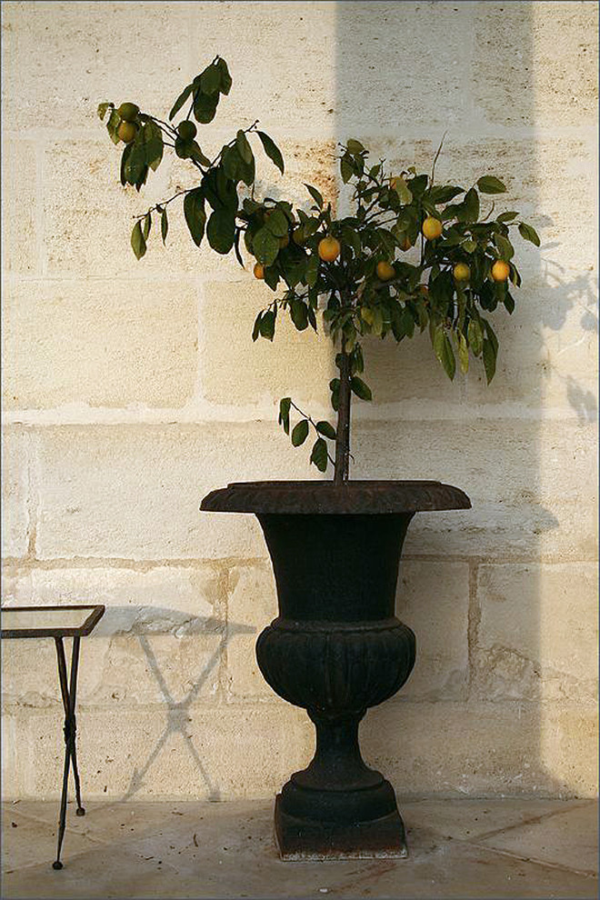 Cladding Stone Wall Veneers the 'Kronos Stone' - Mediterranean ...