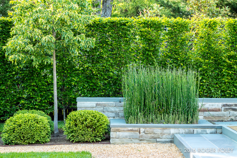 Contemporary Country Garden - Contemporary - Exterior - DC Metro - by ...