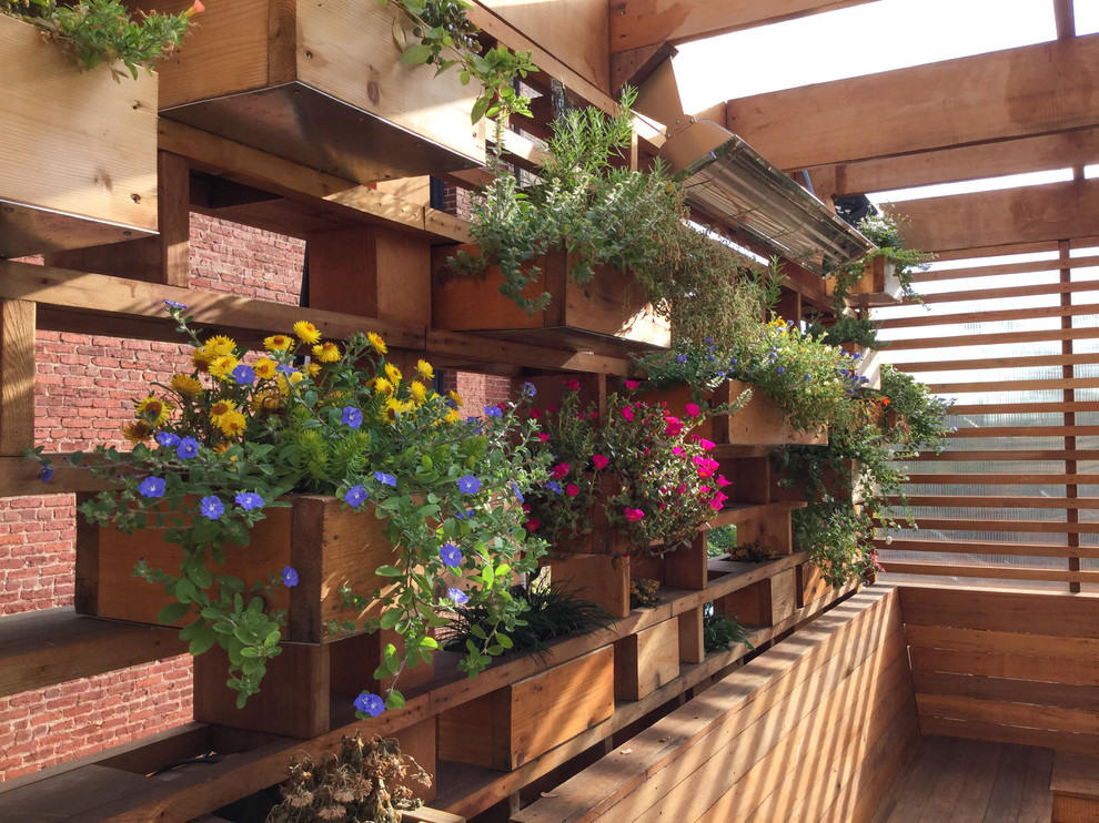 DC ROOF DECK - Contemporary - House Exterior - DC Metro - by ARCHI ...