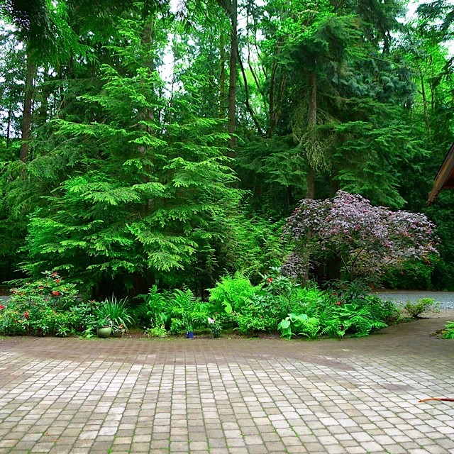 driveway pavers - Craftsman - Landscape - Seattle - by Jason Hiller | Houzz