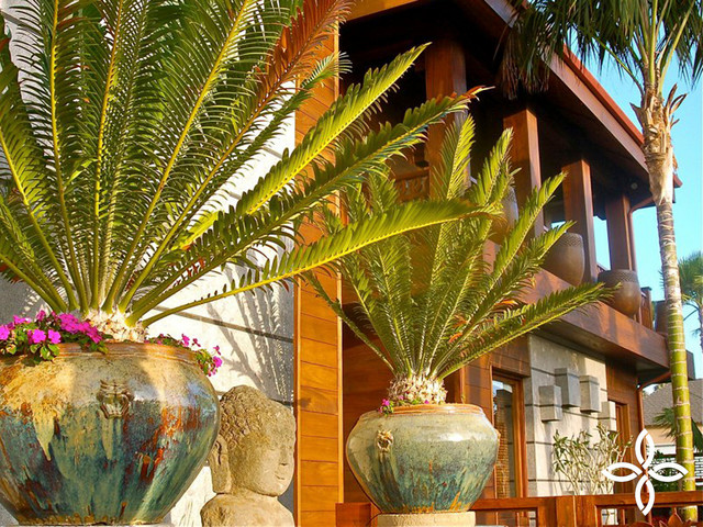 Exteriors by IndoTeak Design - Contemporary - Exterior - San Diego - by ...