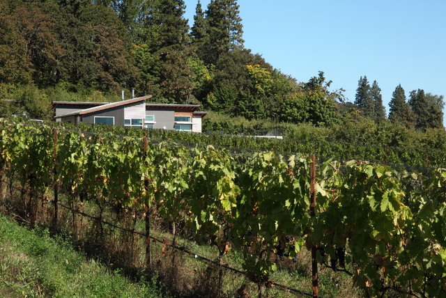 Regional Modern: Oregon Homes Respond to the Landscape