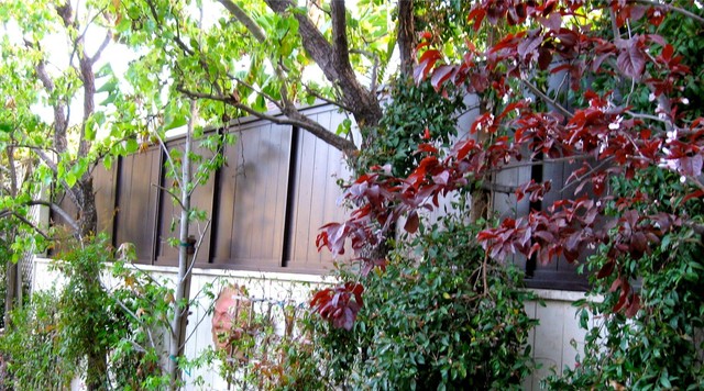 Fence Toppers / Wall Extensions / Wall Topper - Contemporary - Exterior ...