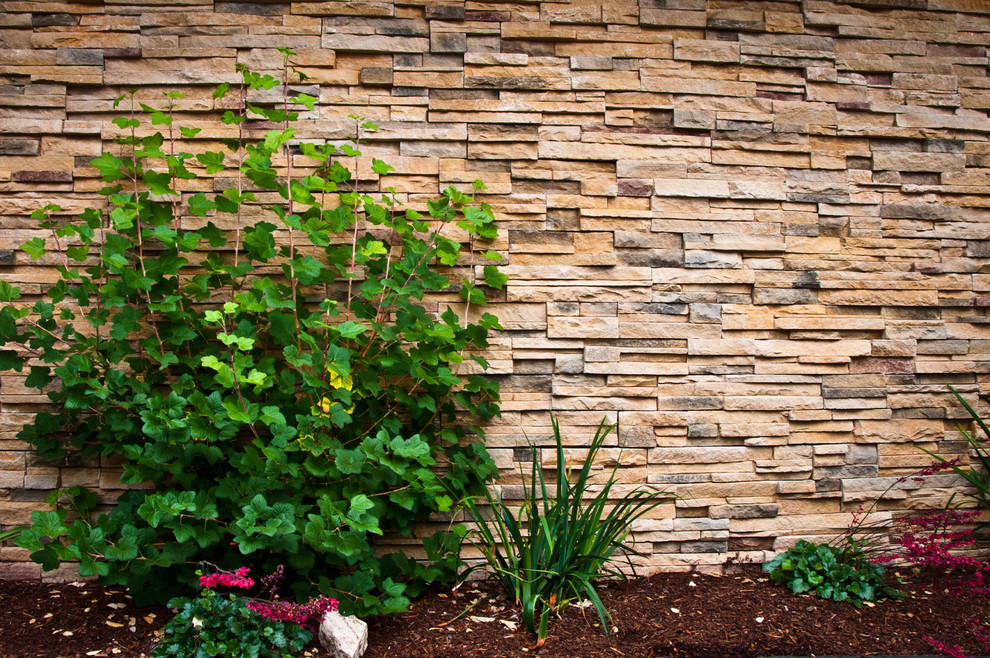 Foundation Native Plants against Flagstone Home - Contemporary ...