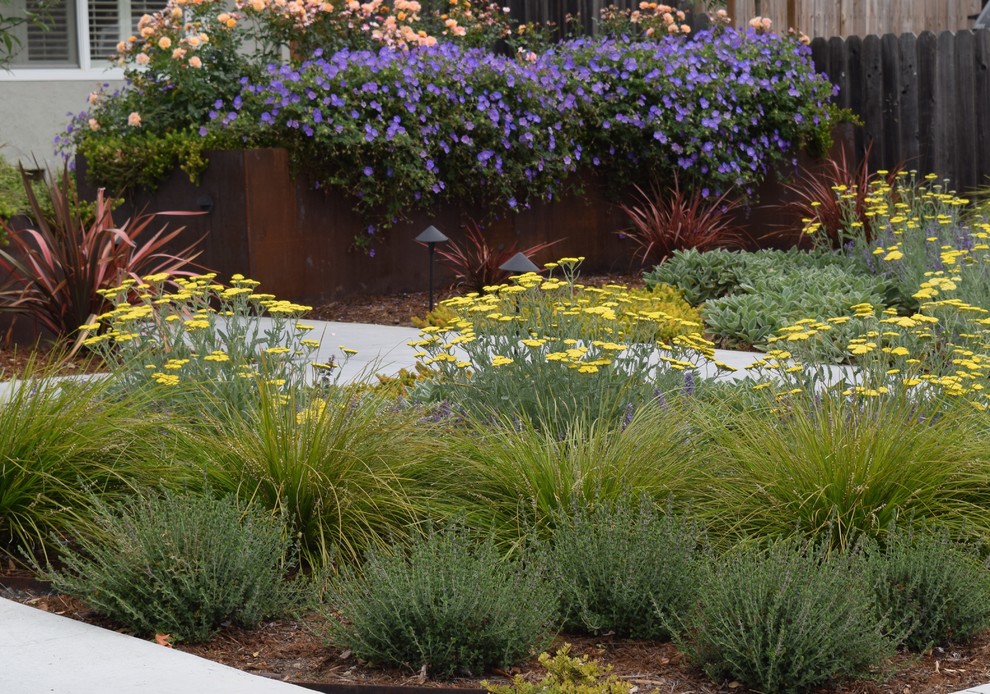 Front entry garden - Contemporary - Garden - San Francisco - by Kellie ...
