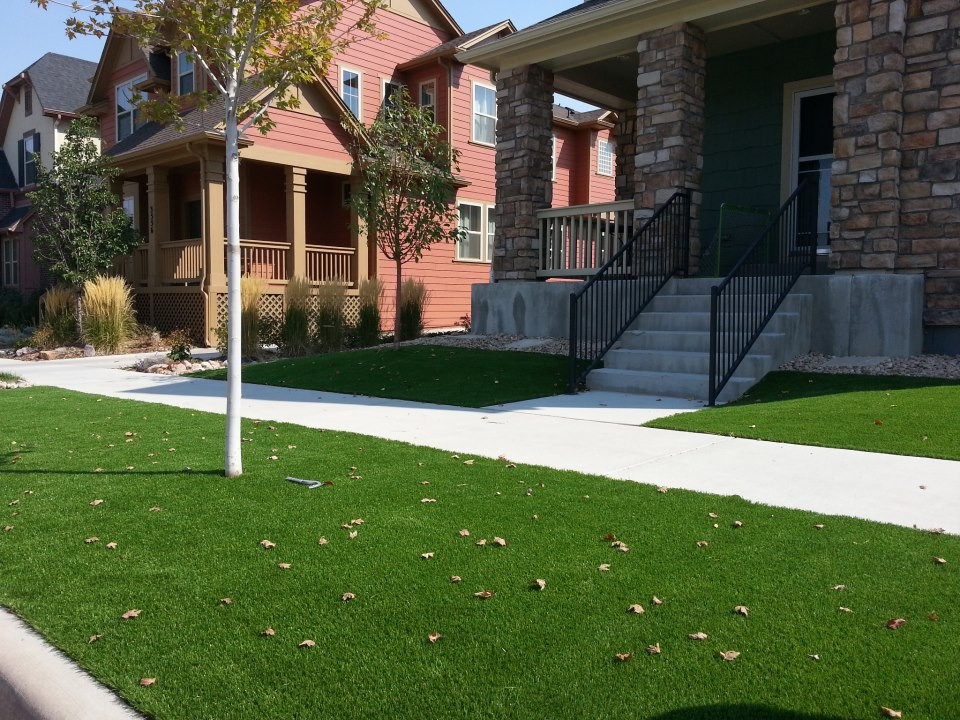 Front lawn - Traditional - Exterior - Denver - by 19th Greens | Houzz