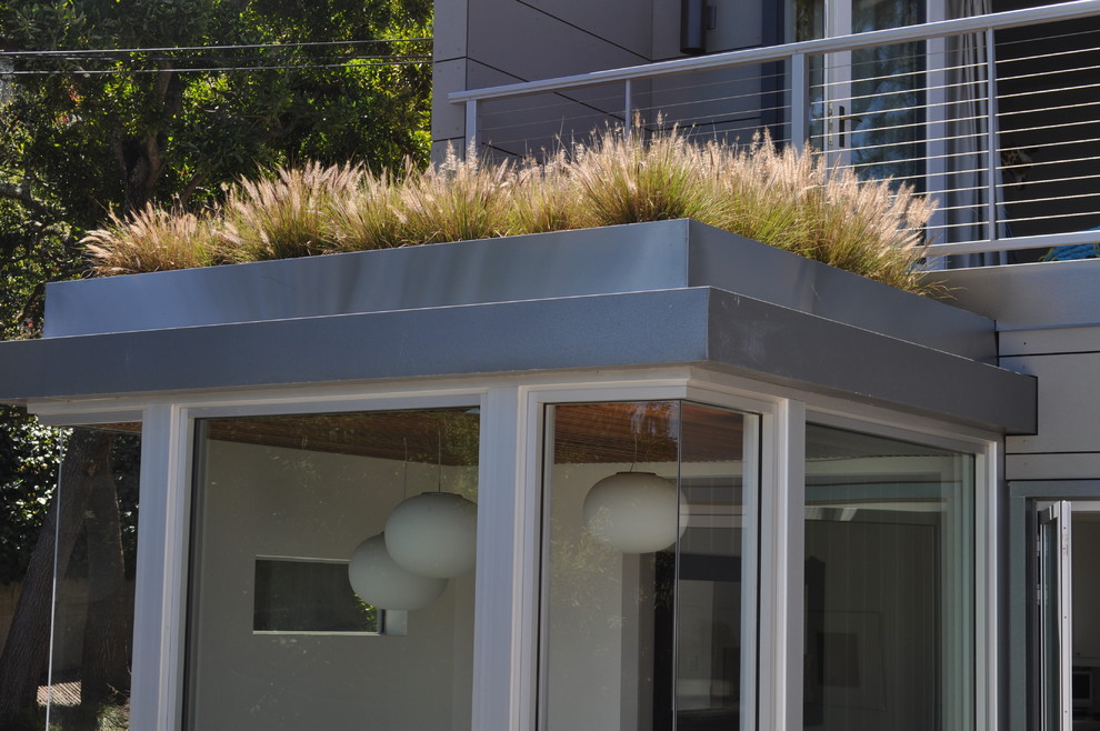 Green Roof - with Rezibond metal trim - Bonelli glass enclosure ...