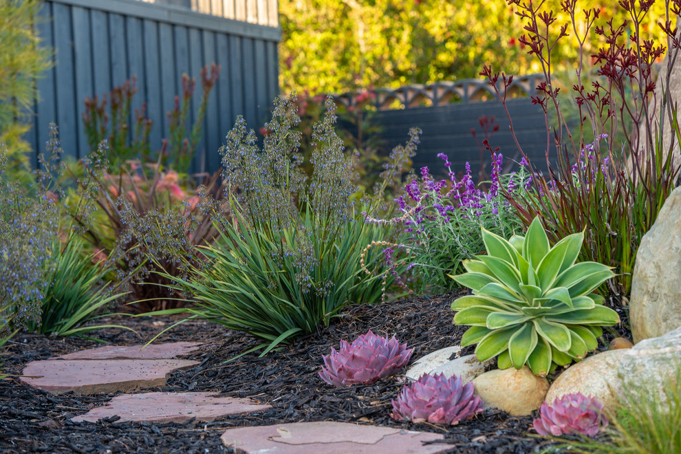 Kate Sessions Park - Transitional - Landscape - San Diego - by ...