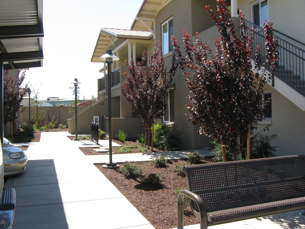 Landscape Buffer - Traditional - Exterior - San Francisco - by SW ...