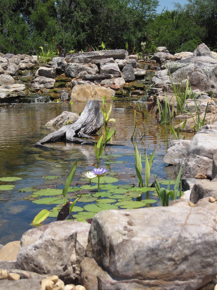 Large Koi Pond with Grey Garden Boulders and Ledge rock - Traditional ...
