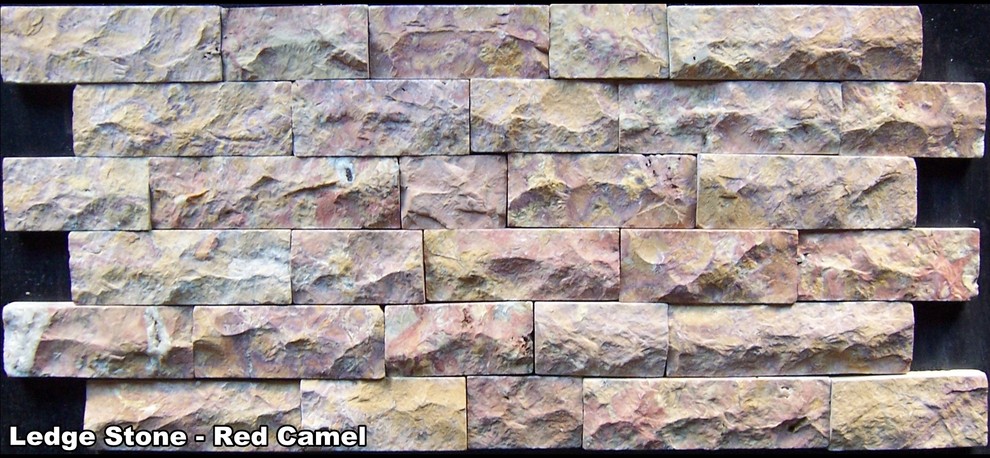 Ledge Stone - Red Camel 12" x 24" Mesh - Contemporary - Exterior - Las ...