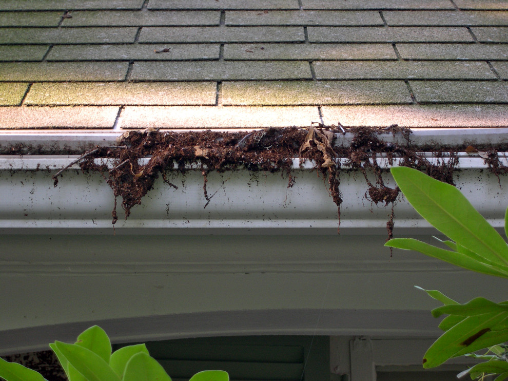 Louver Gutter Guard - Traditional - Exterior - Cleveland - by ...