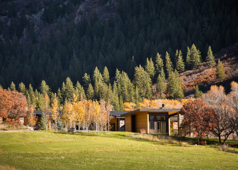 Mana - Contemporary Ranch home - Contemporary - Exterior - Denver - by ...