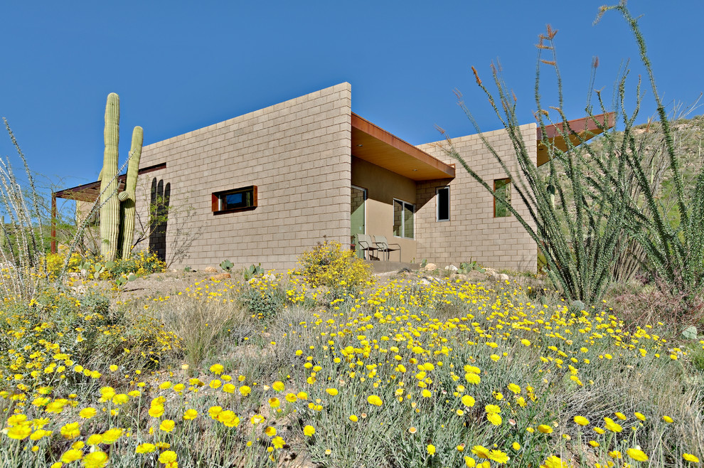 masonry walls and steel fascia - Contemporary - Exterior - Phoenix - by ...