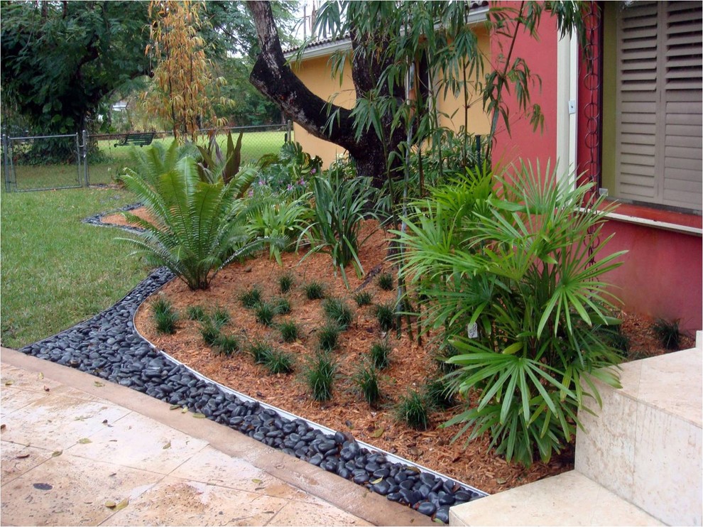 Miami Beach Landscaping Project - Traditional - Exterior - Miami - by ...