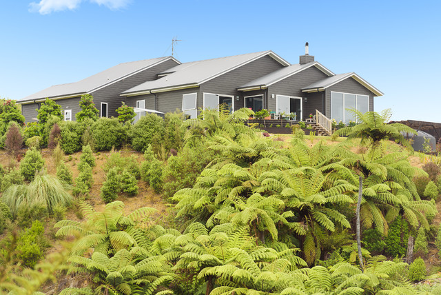 Minden Road, Te Puna - Contemporary - Exterior - Hamilton - by Sarich ...