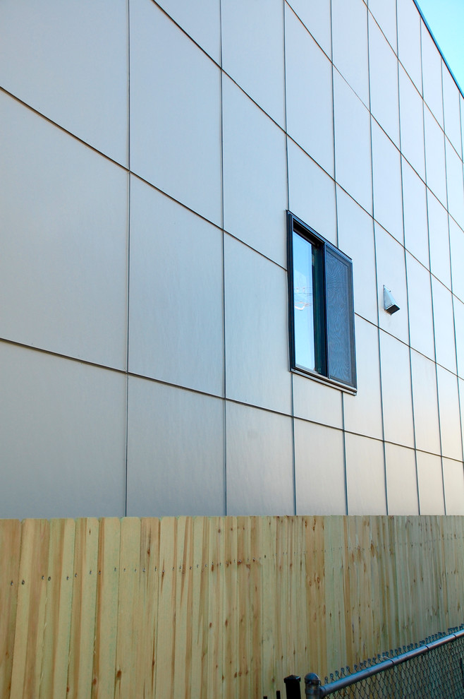 Modern Exterior Remodel in Chicago, IL Hardie Panel Siding - Modern ...