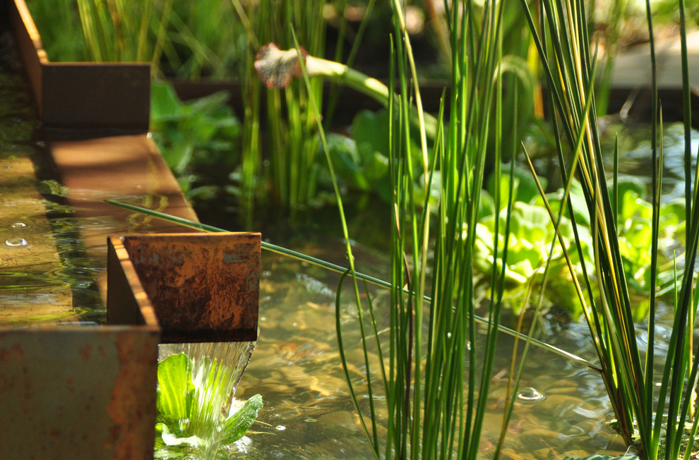 Modern Water Feature - Contemporary - Exterior - Portland - by Pistils ...