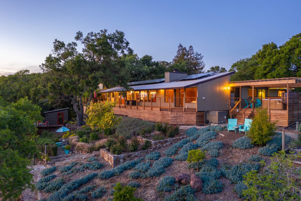 Our 1954 Mid Century Ranch Home, Napa, CA - Midcentury - Exterior - San ...