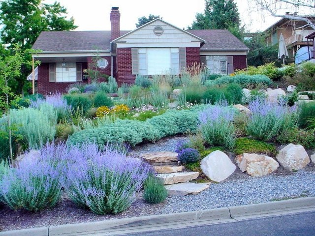 Our Perennials - Traditional - Landscape - Salt Lake City - by Deseret ...